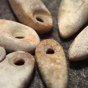 Authentic Native American Shell Bead Collection Consisting of - Etsy