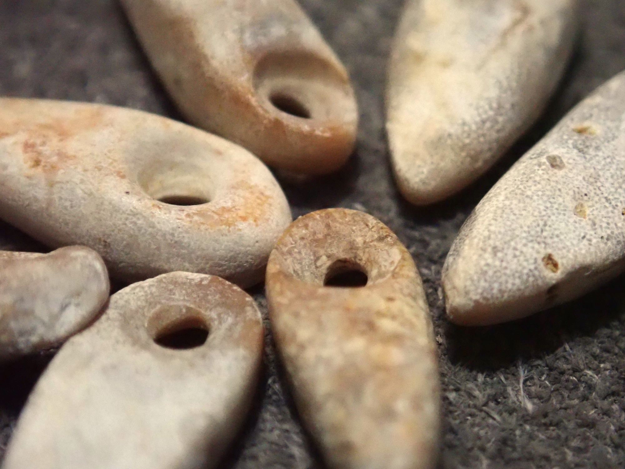 Authentic Native American Shell Bead Collection Consisting of 8 Tear ...