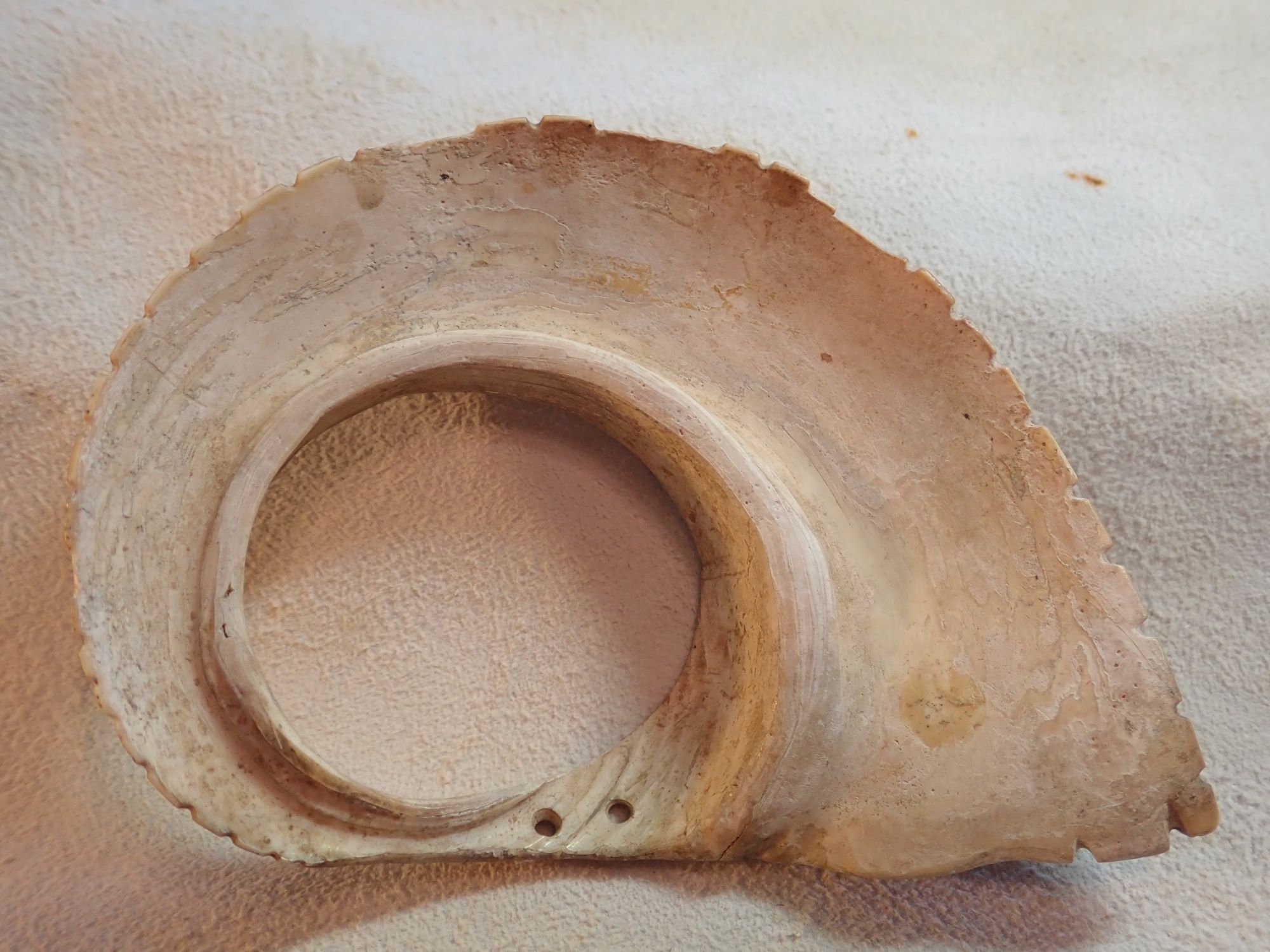 Authentic Woodland Native American 2 Hole Swirl Type Conch Shell Gorget ...