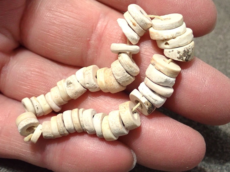 Authentic Native American Shell Bead Collection Consisting of ...