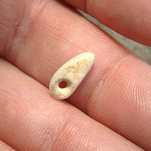 Authentic Native American Shell Bead Collection Consisting of 8 Tear ...