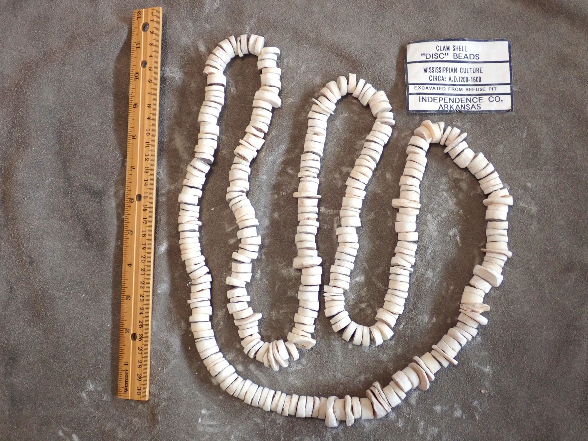 Authentic Native American 293 Clam Shell Disc Beads, Mississippian ...