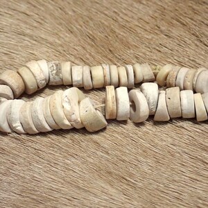 Authentic Native American Shell Bead Collection Consisting of ...