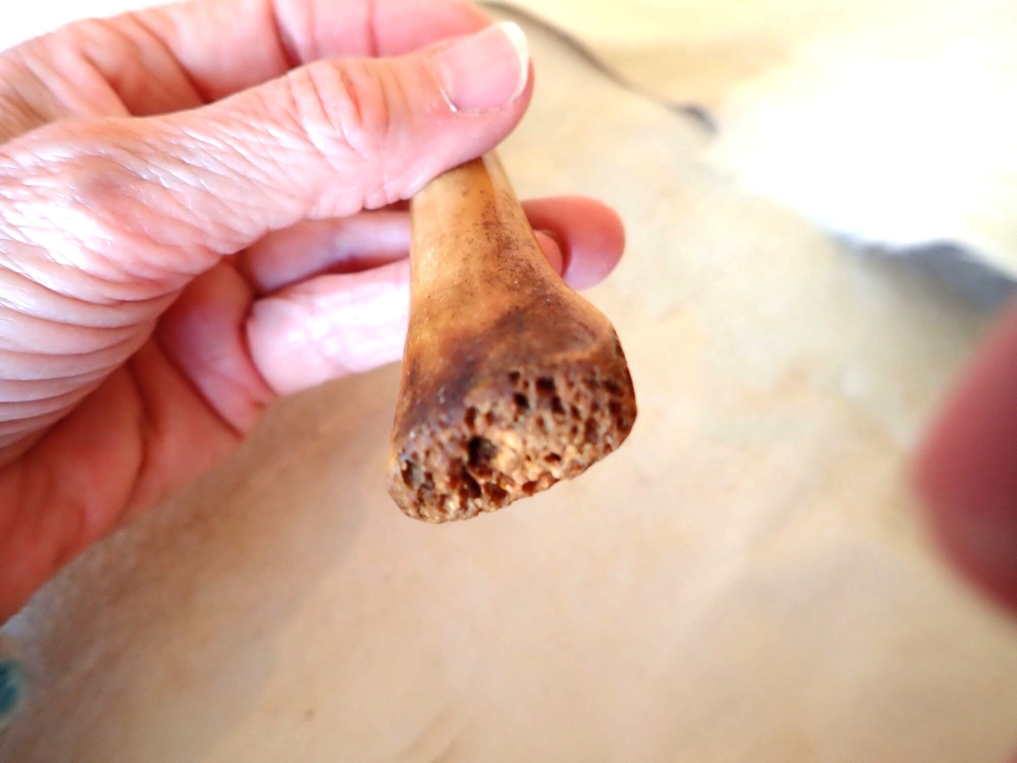 Authentic Native American Polished Bone Pin/tool - Etsy