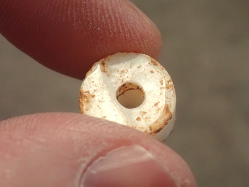 Authentic Native American 89 Large Disc Shell Beads Found in ...