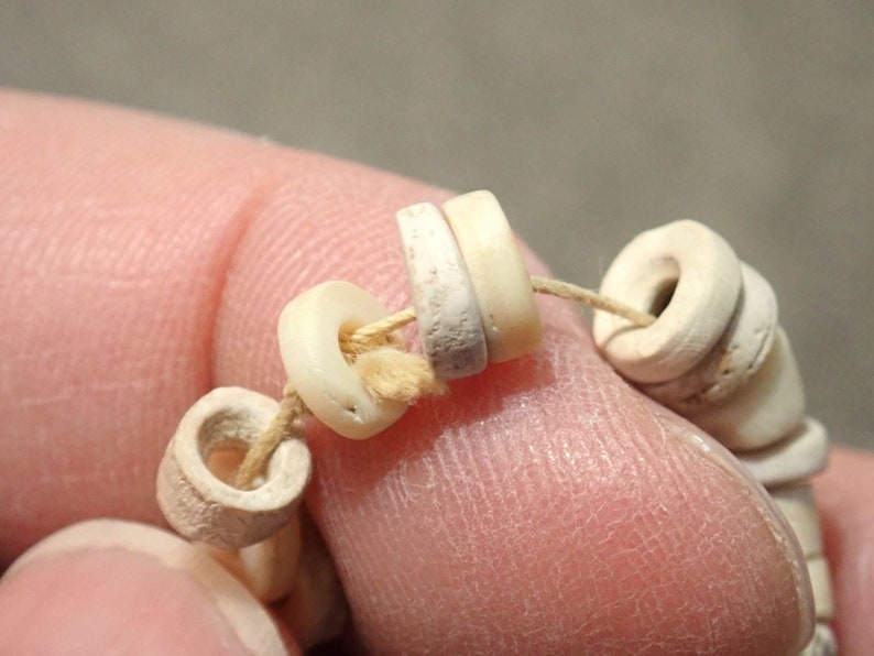 Authentic Native American Shell Bead Collection Consisting of ...