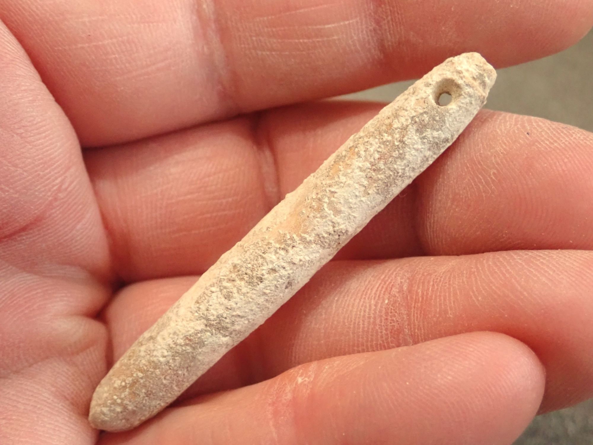 Authentic Native American Cowrie and Clam Shell Beads Along With 3 Sea ...