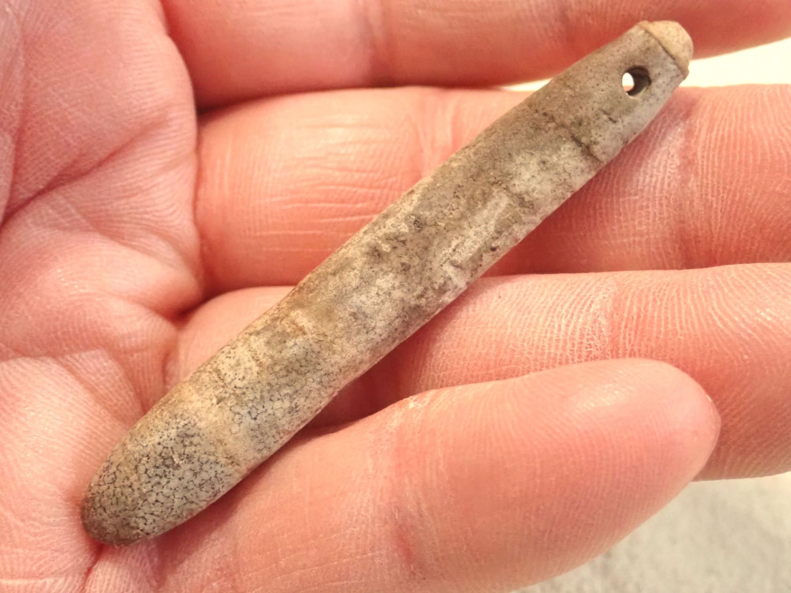 Authentic Native American Cowrie Shell and Sea Urchin Spine Beads Found ...