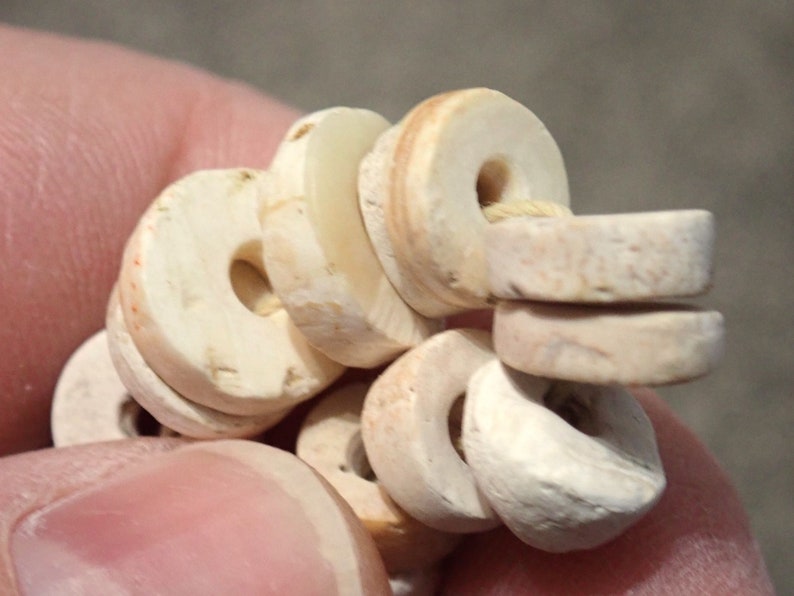 Authentic Native American Shell Bead Collection Consisting of ...