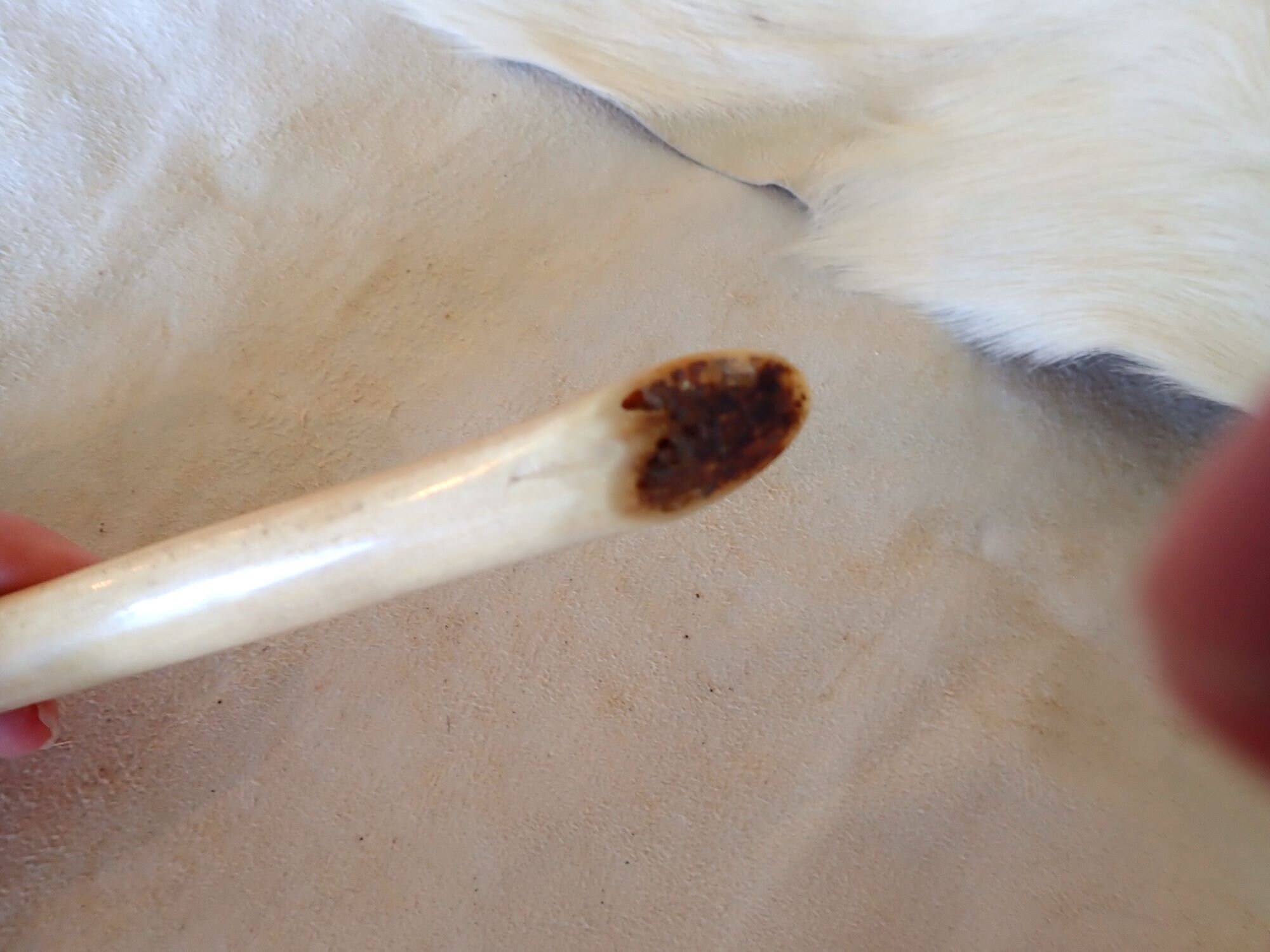 Authentic Native American Polished Bone Pin/tool - Etsy