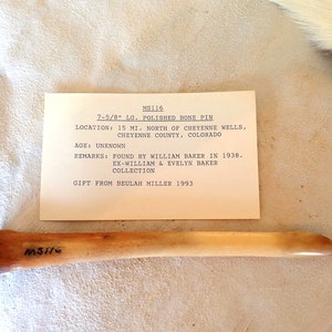 Authentic Native American Polished Bone Pin/tool - Etsy