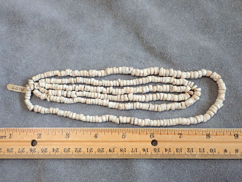 Authentic Native American Shell Bead Collection of Approximately 357 ...