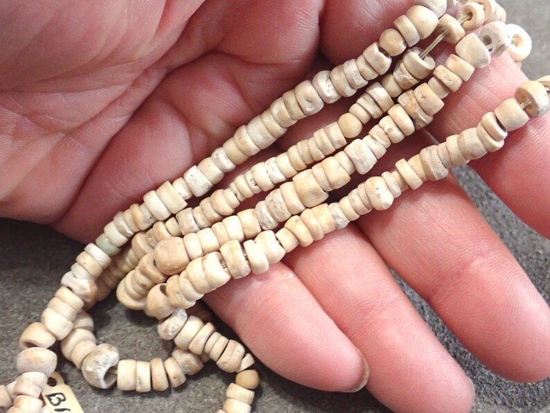 Authentic Native American, Spiro Mound Group, Craig Mound, Shell Bead ...