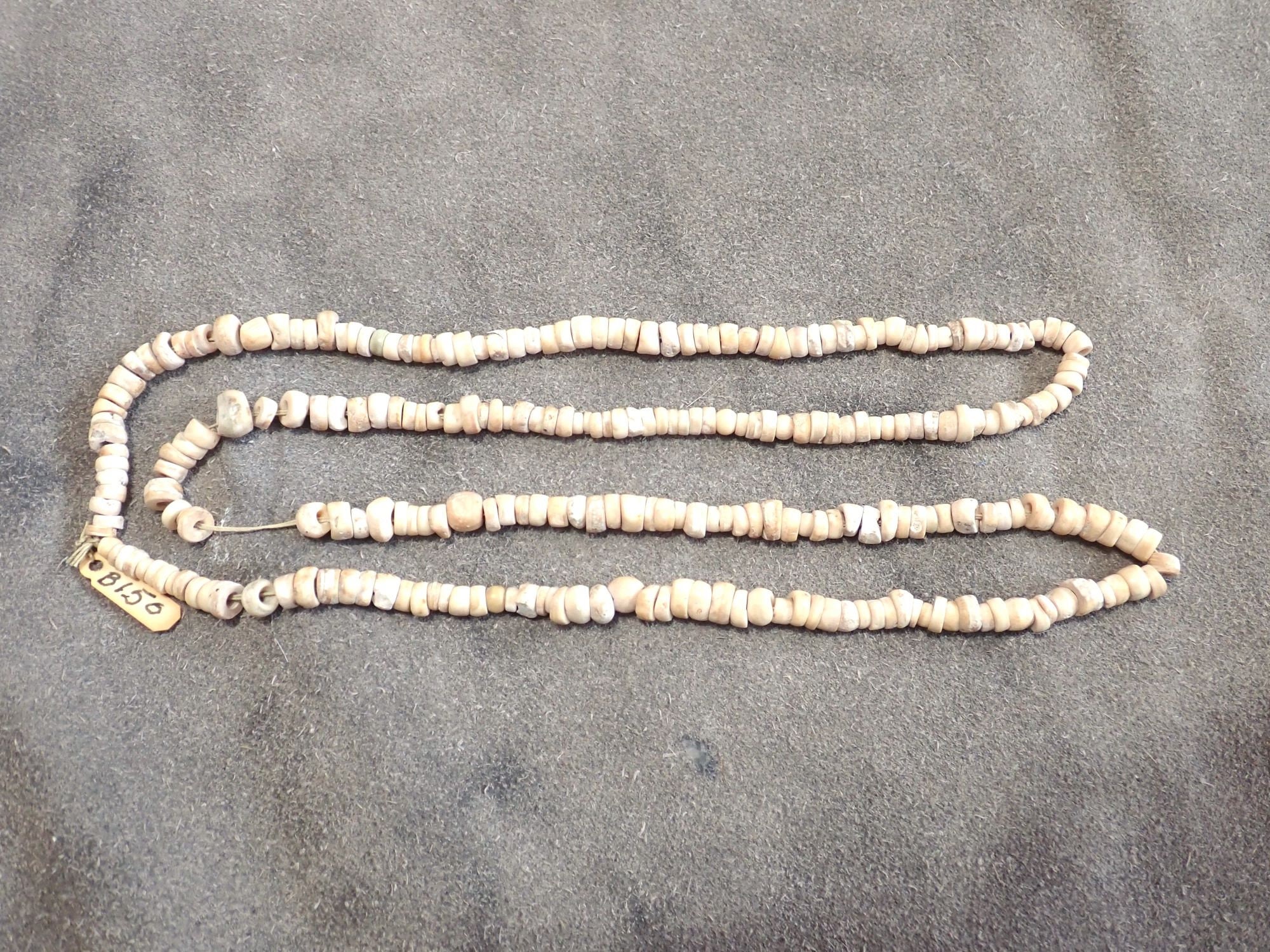 Authentic Native American, Spiro Mound Group, Craig Mound, Shell Bead ...
