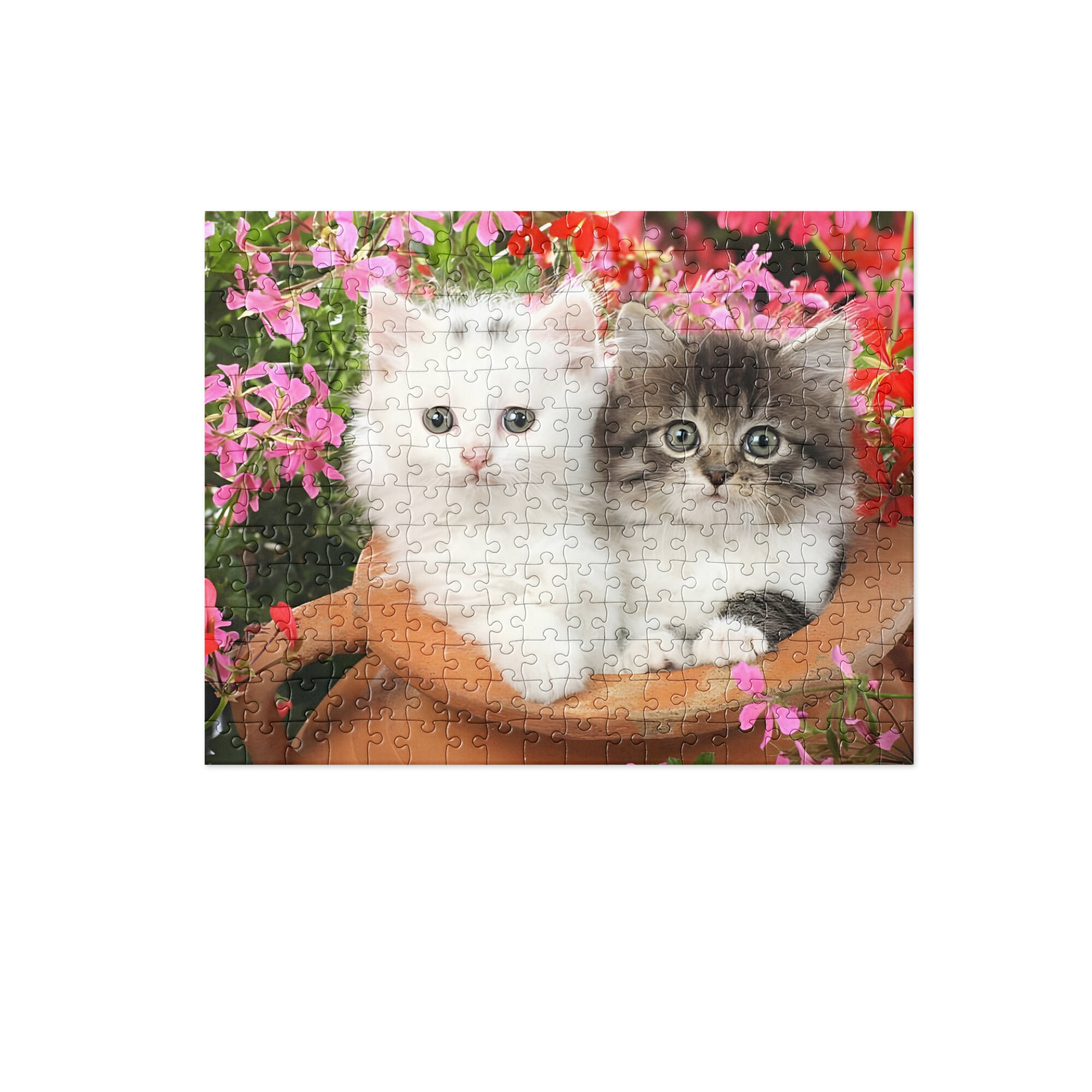 Cute Kittens Jigsaw Puzzle, Baby Cats Jigsaw Puzzle, Cats and Flowers ...