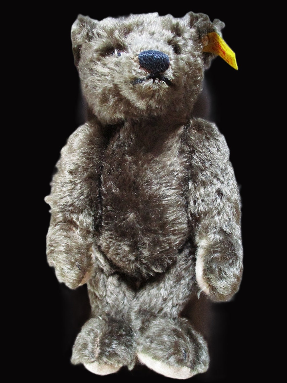 Steiff German Limited Edition Growler Bear Original Boxed With Growlers ...