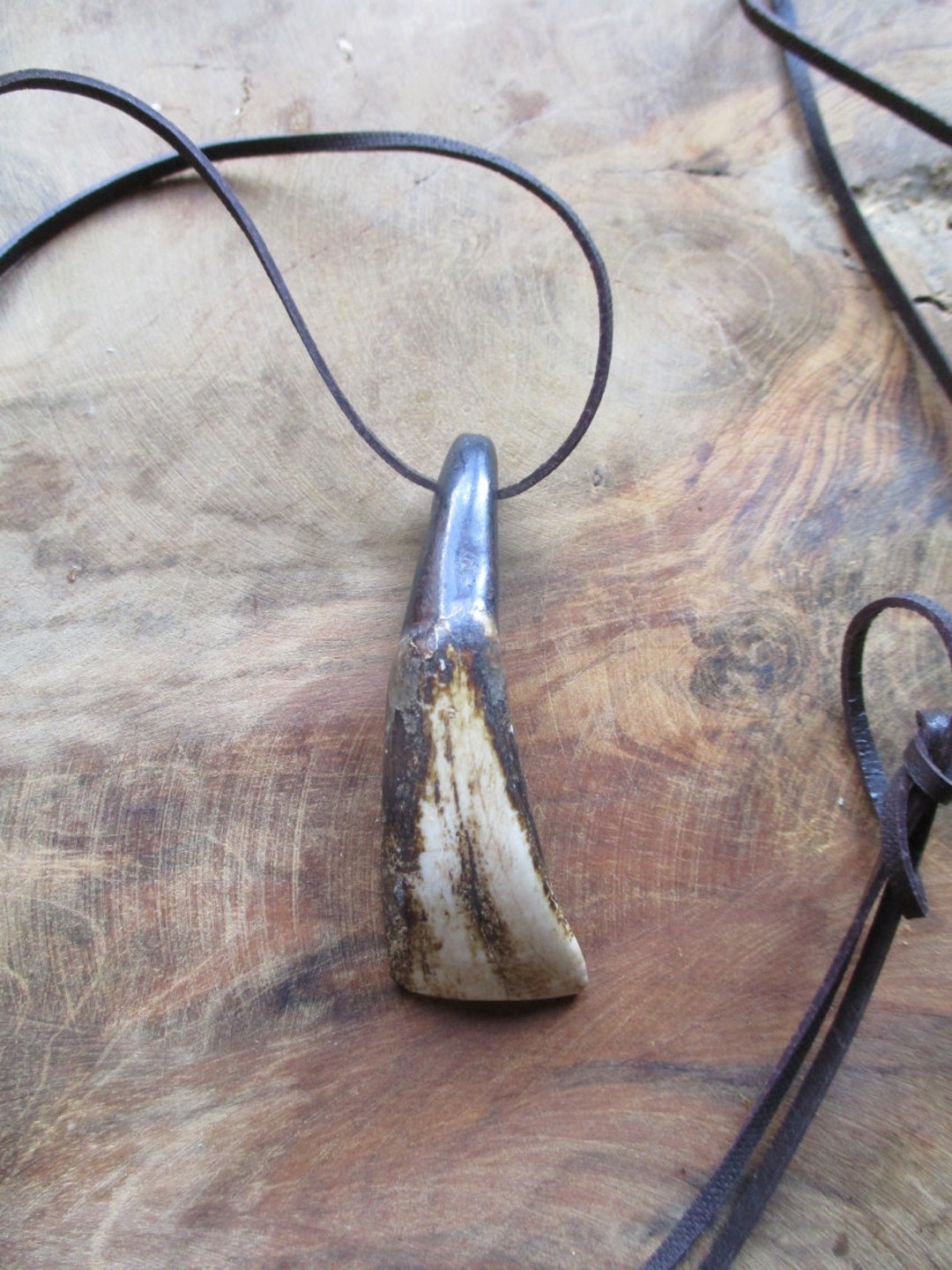 Buffalo Tooth Necklace Cosplay Bison FREE SHIPPING - Etsy