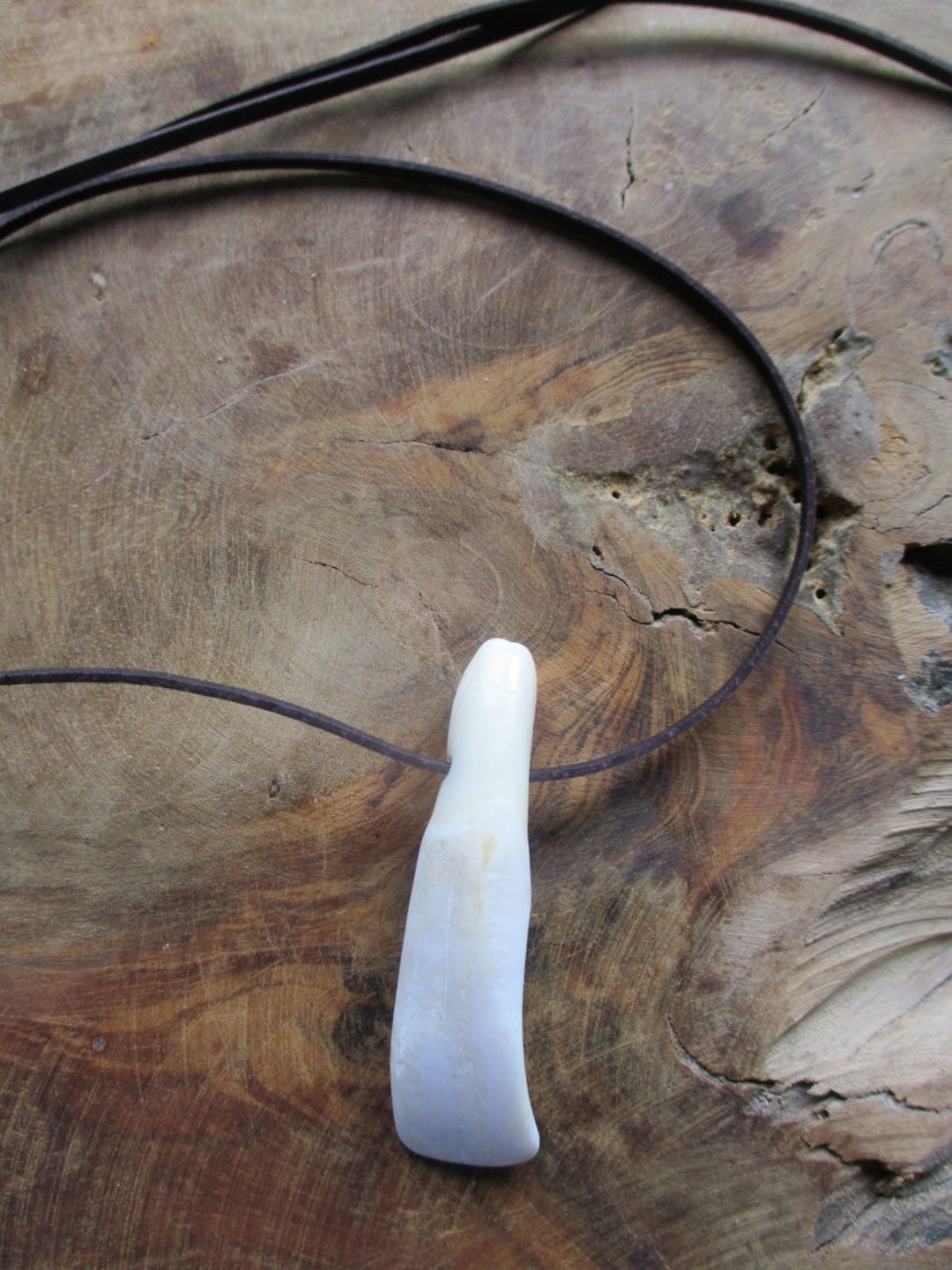 Buffalo Bison Animal Tooth Necklace Cosplay FREE SHIPPING - Etsy