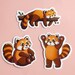 Red Panda Sticker Pack Laptop Stickers Planner Sticker pack of 3 - Etsy