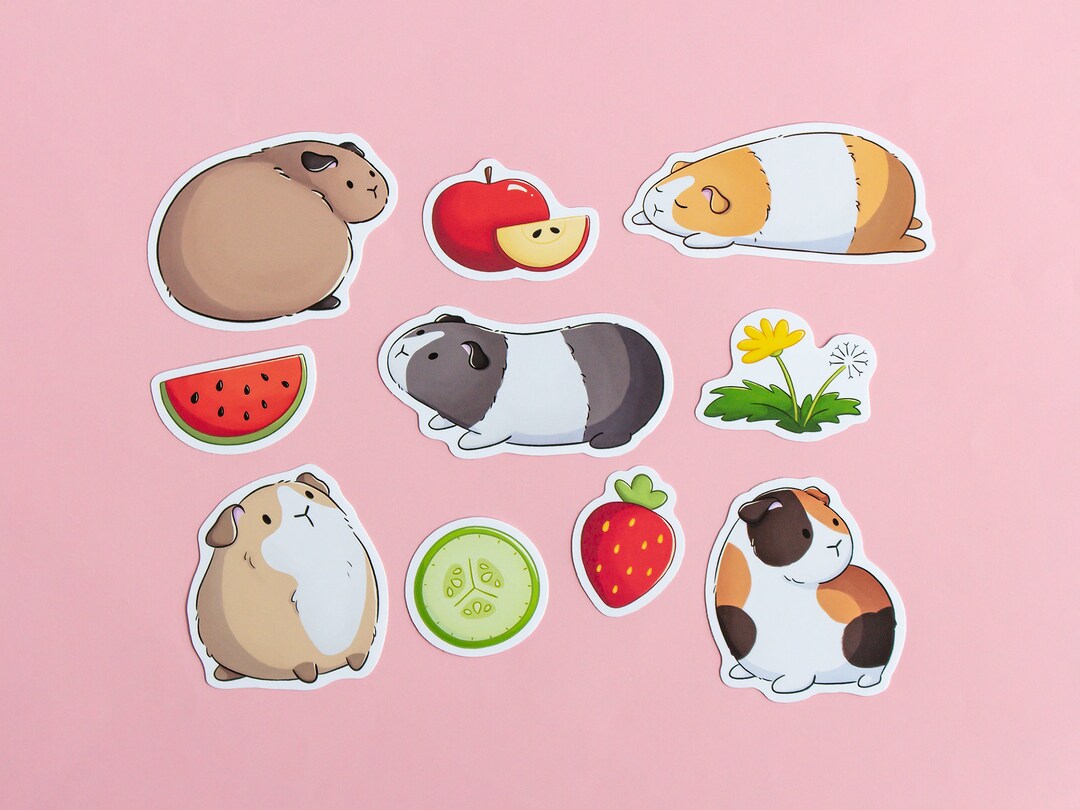 Cute Guinea Pig Sticker Pack - Funny Guinea Pigs Sticker - Water Bottle ...