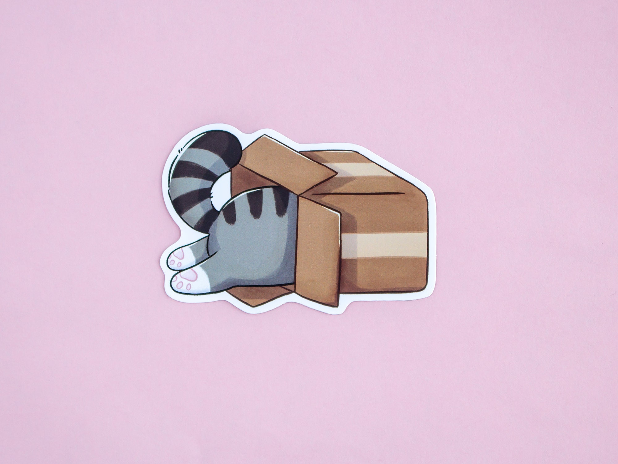 Cute Cat in Box Cat Sticker Tabby Cat Sticker Funny Gray - Etsy