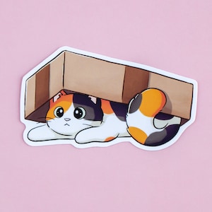 Calico Cat Under Box Sticker - Cute Cat Sticker - Calico Cat Sticker ...