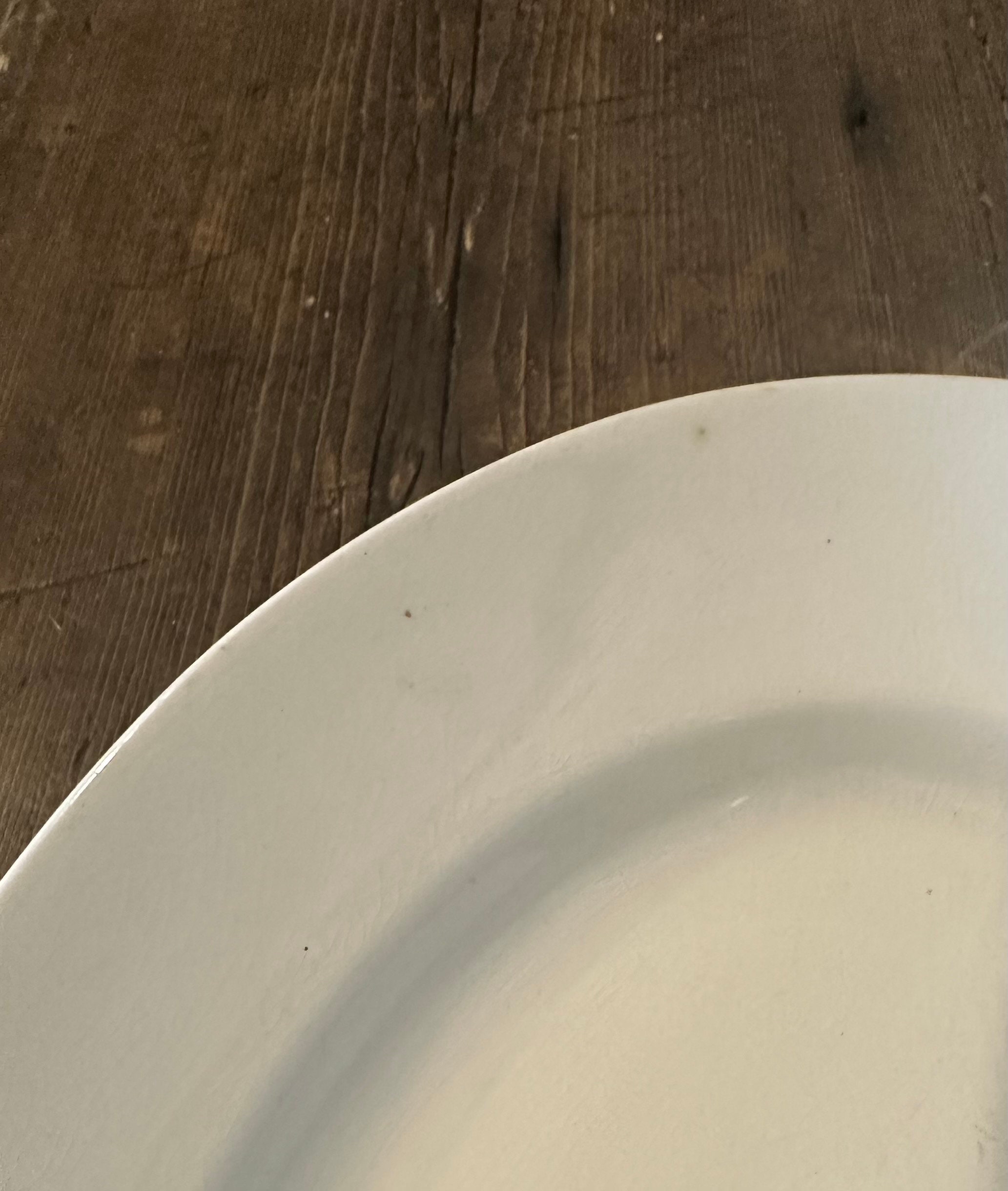 Thomas Furnival & Sons England Ironstone China Platter / Antique ...