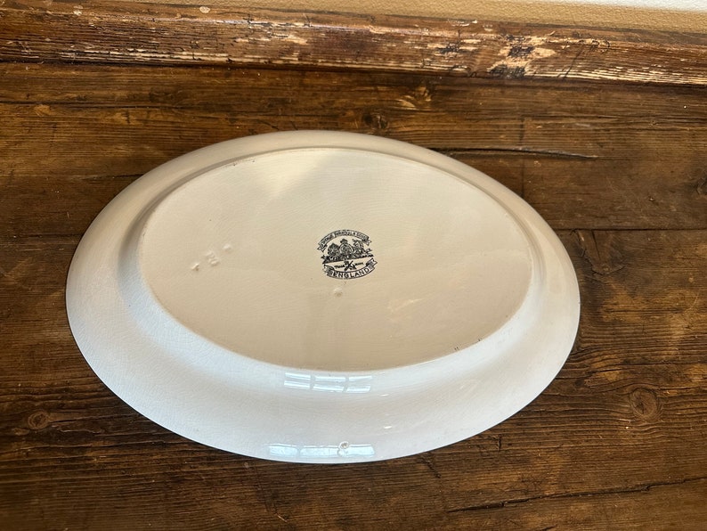 Thomas Furnival & Sons England Ironstone China Platter / Antique ...