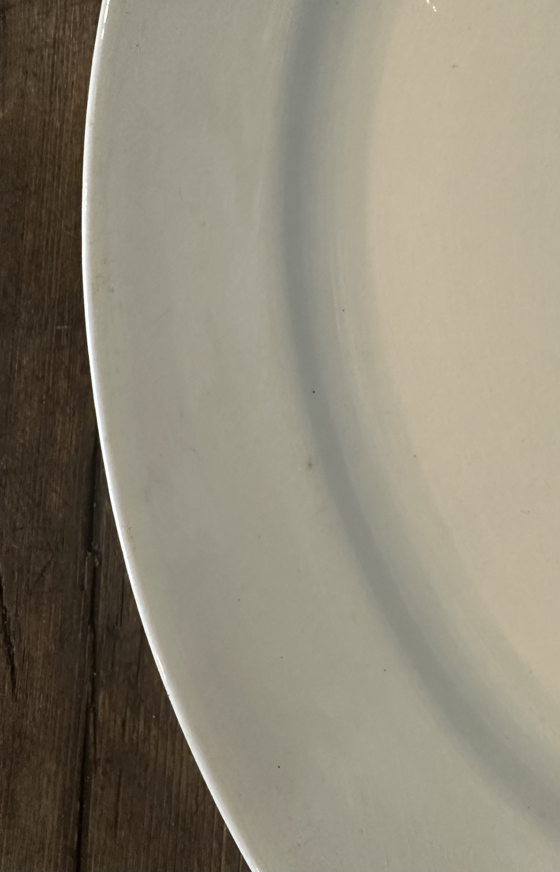 Thomas Furnival & Sons England Ironstone China Platter / Antique ...