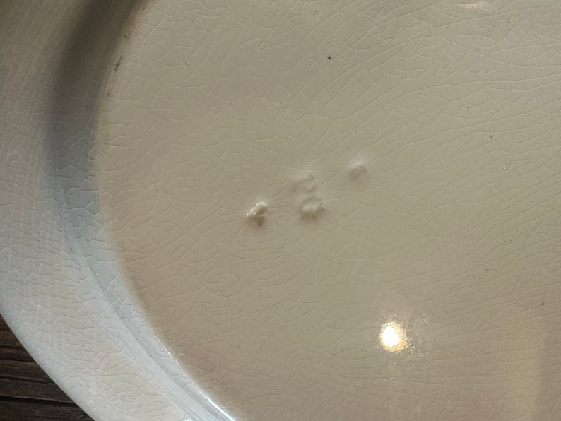 Thomas Furnival & Sons England Ironstone China Platter / Antique ...