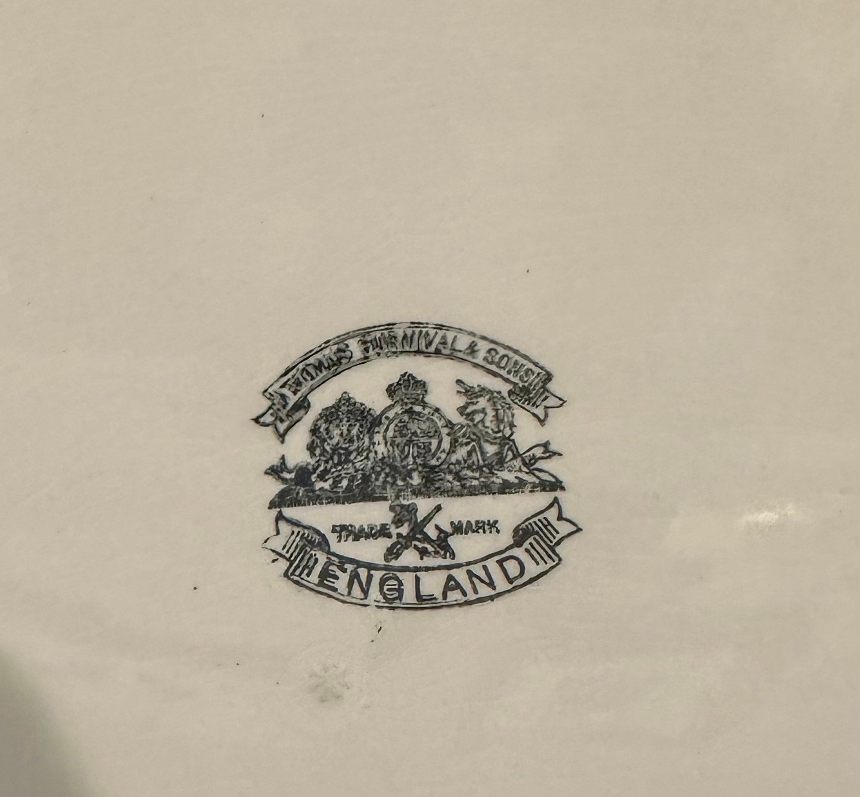 Thomas Furnival & Sons England Ironstone China Platter / Antique ...