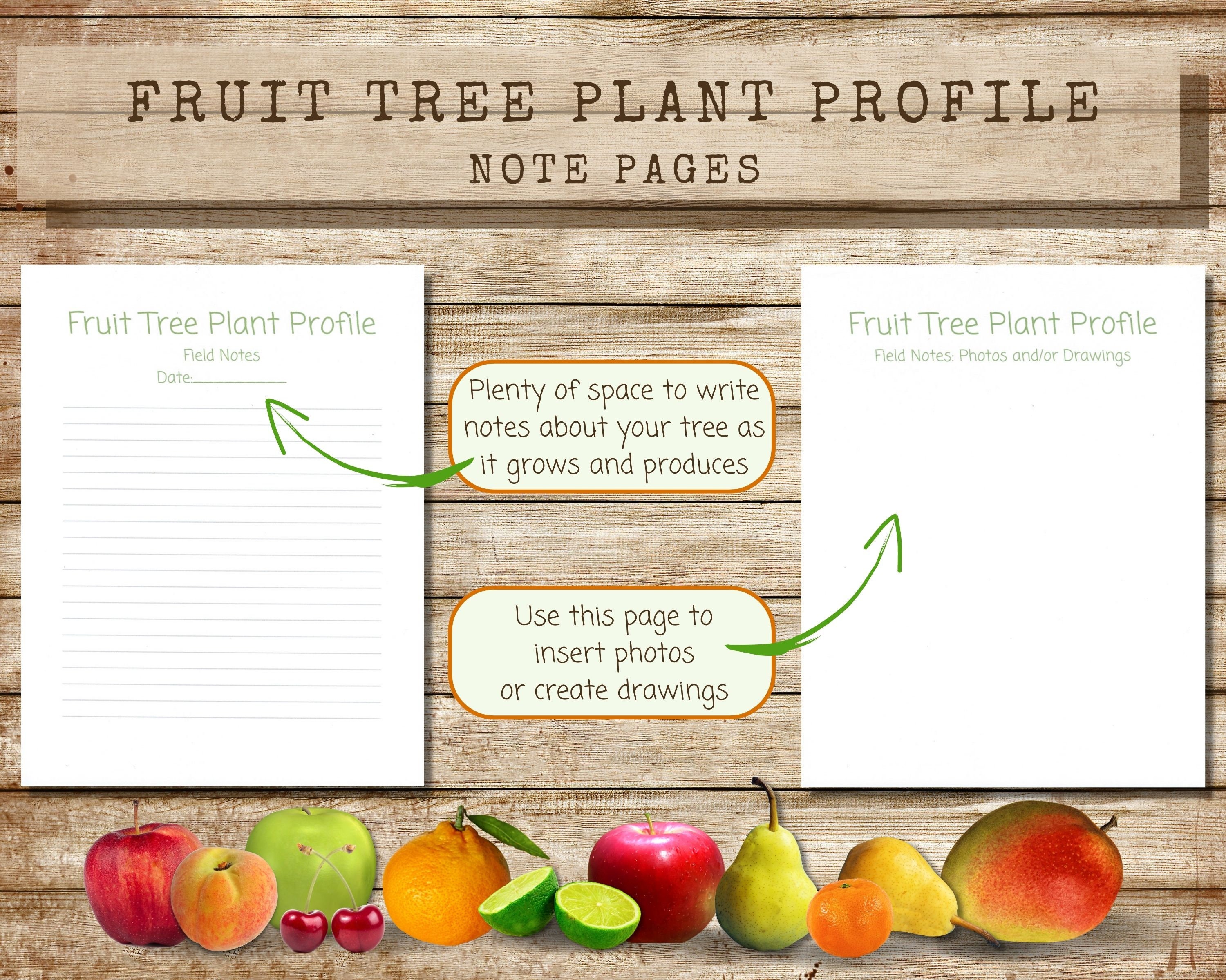 Printable Fruit Tree Plant Profile for Permaculture and Home Orchard ...