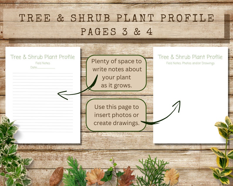Printable Tree and Shrub Plant Profile for Permaculture and - Etsy