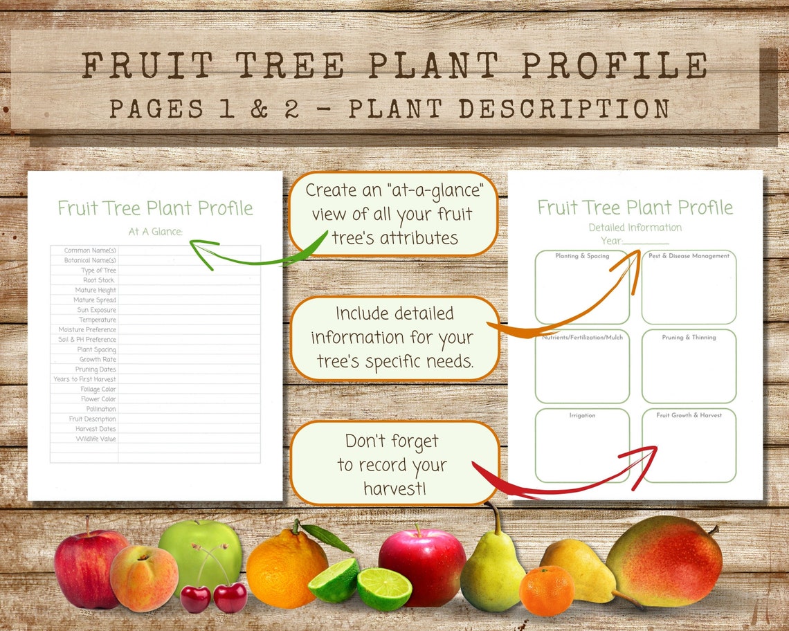 Printable Fruit Tree Plant Profile for Permaculture and Home Orchard ...