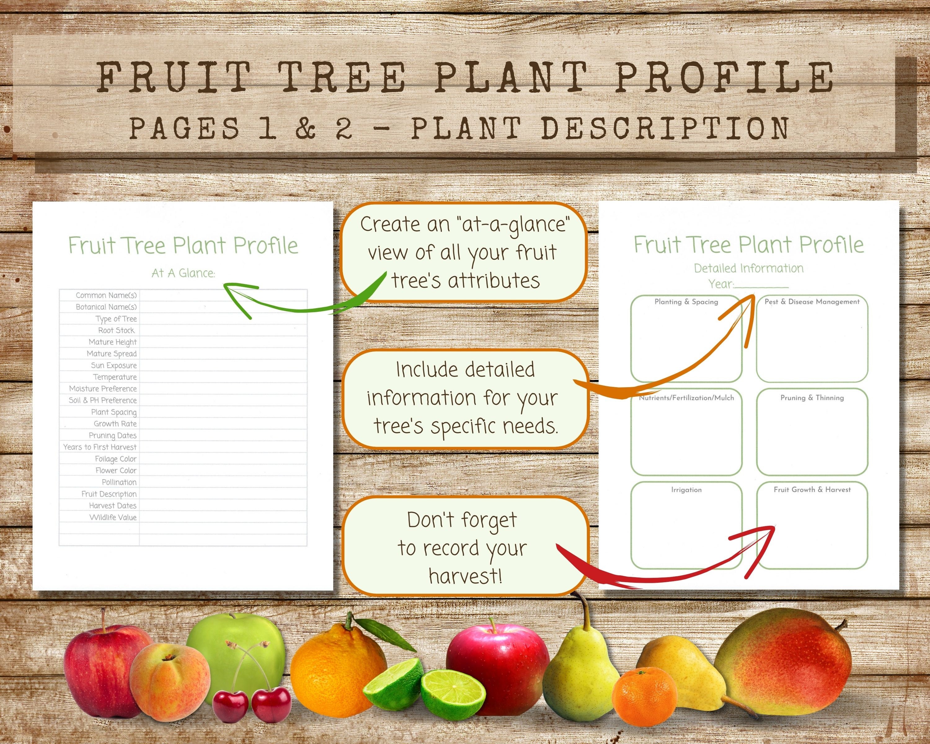 Printable Fruit Tree Plant Profile for Permaculture and Home Orchard ...