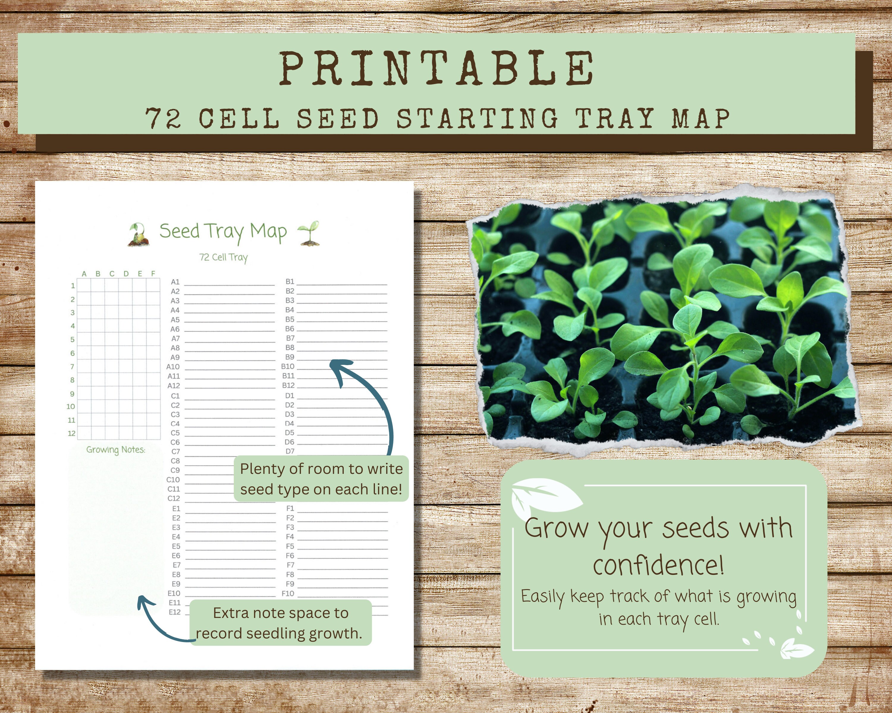 Printable Seed Tray Map 72 Cell Grid Layout With Labels, Seed Starting ...