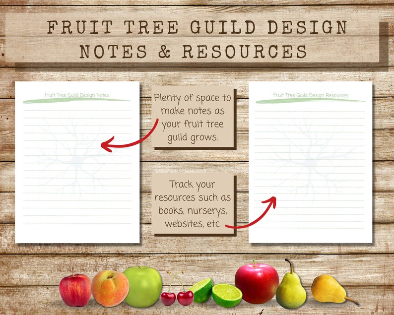 Printable Fruit Tree Guild Design Workbook, Permaculture Tree Guild ...