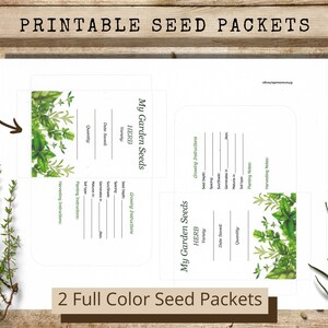 Printable Seed Tray Maps 5 Different Grid Layouts to Choose From, Seed ...