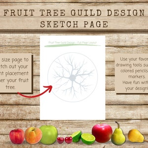 Printable Fruit Tree Guild Design Workbook, Permaculture Tree Guild ...
