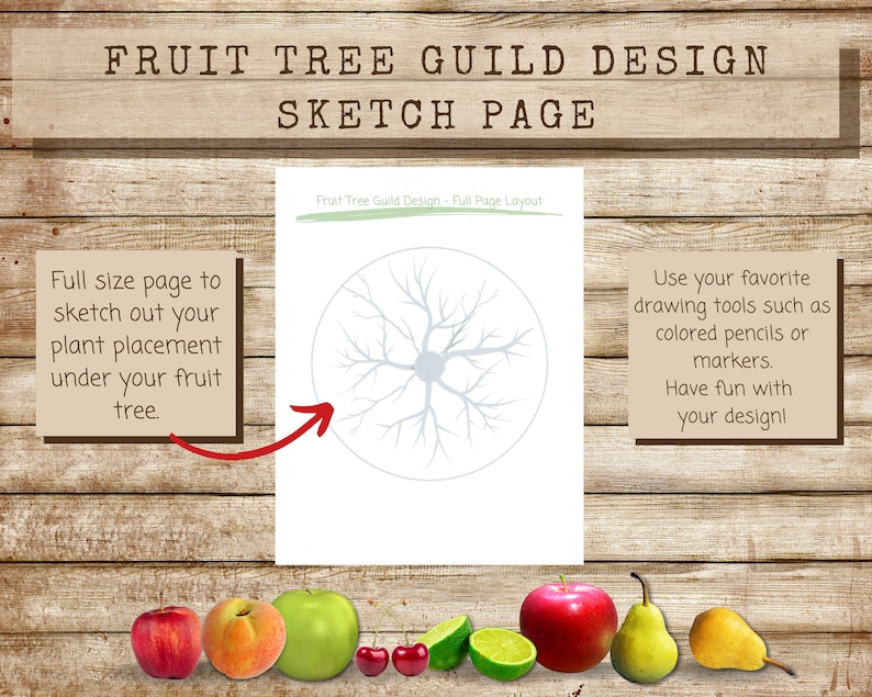 Printable Fruit Tree Guild Design Workbook, Permaculture Tree Guild ...