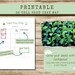 Printable Seed Tray Map 36 Cell Grid Layout, Seed Starting Tray Cell ...