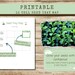 Printable Seed Tray Map 12 Cell Grid Layout, Seed Starting Tray Cell ...