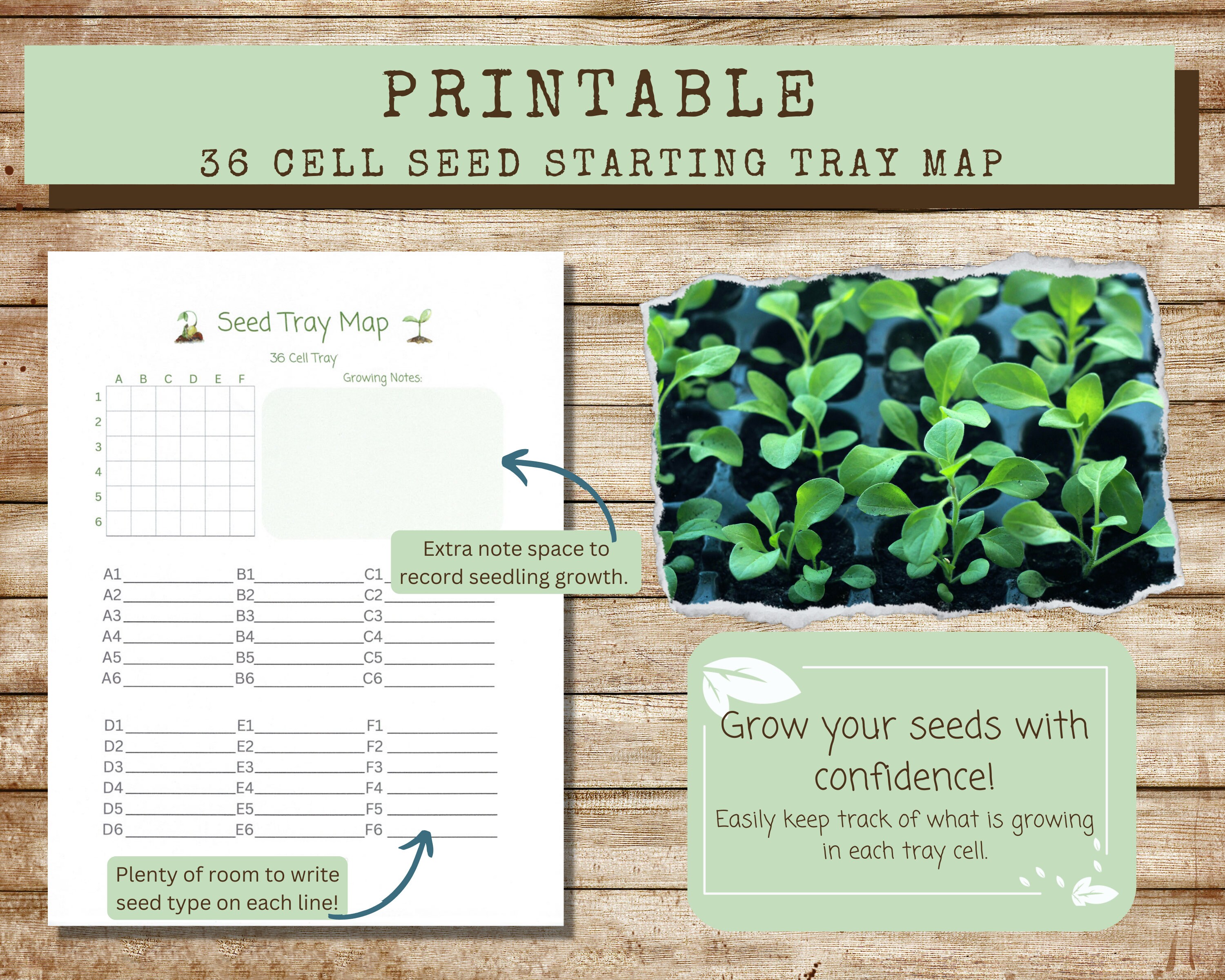 Printable Seed Tray Map 36 Cell Grid With Layout Pre-labeled, Seed ...