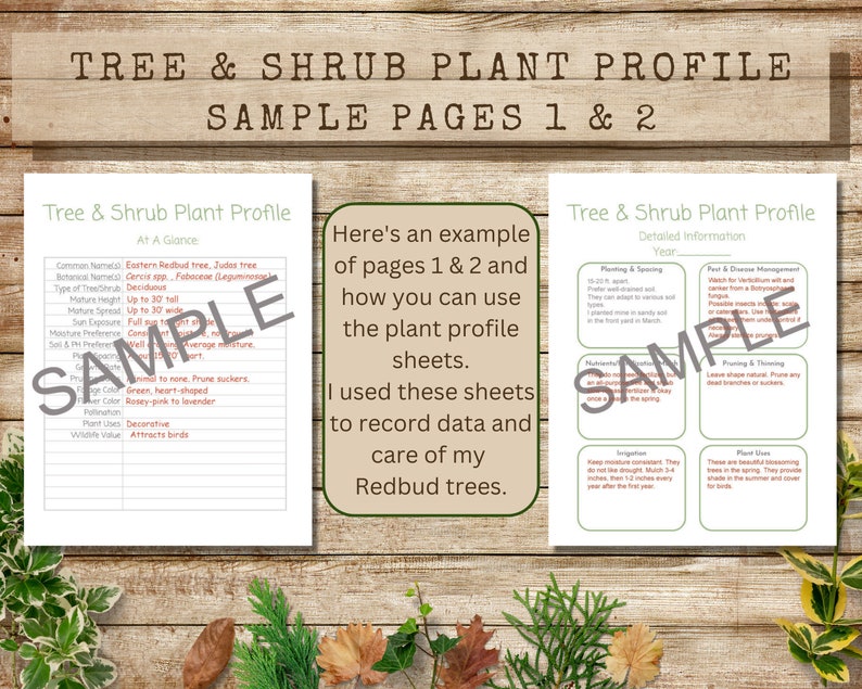 Printable Tree and Shrub Plant Profile for Permaculture and Home ...