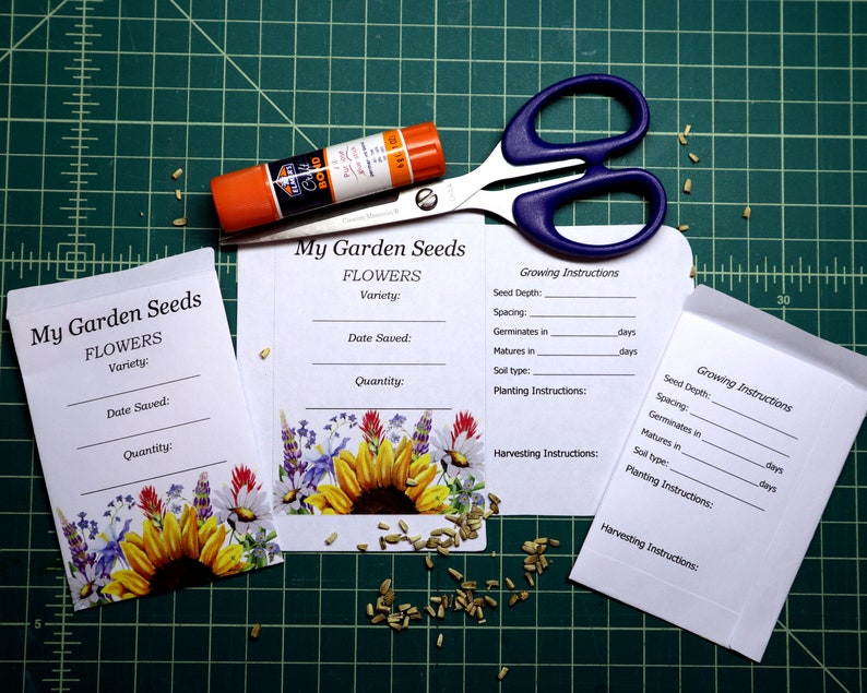 Printable Flower Seed Packet, Garden Flower Seed Envelope, DIY Seed ...