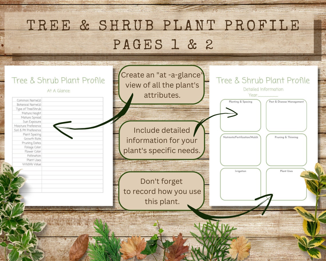 Printable Tree and Shrub Plant Profile for Permaculture and Home ...