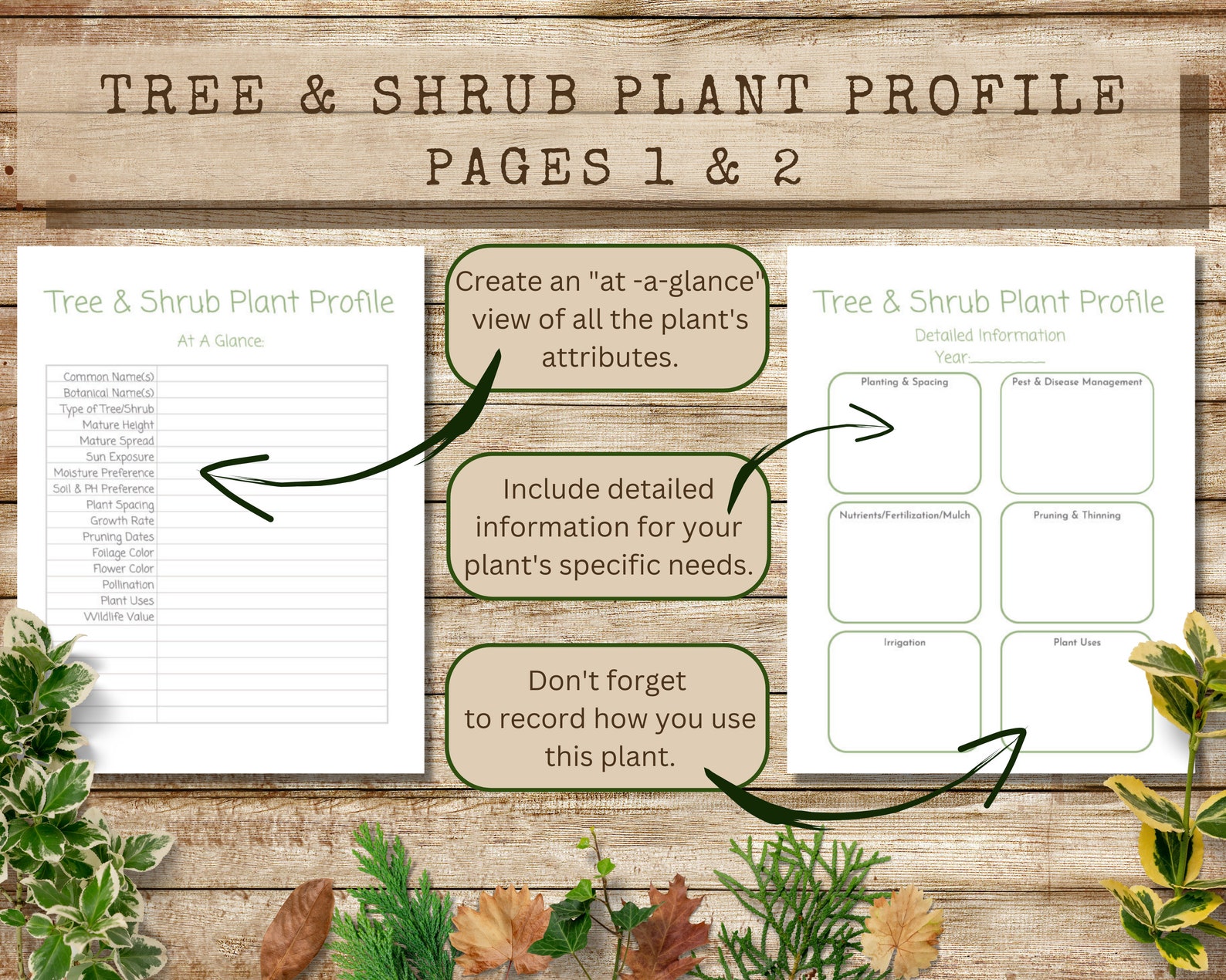 Printable Tree and Shrub Plant Profile for Permaculture and Home ...