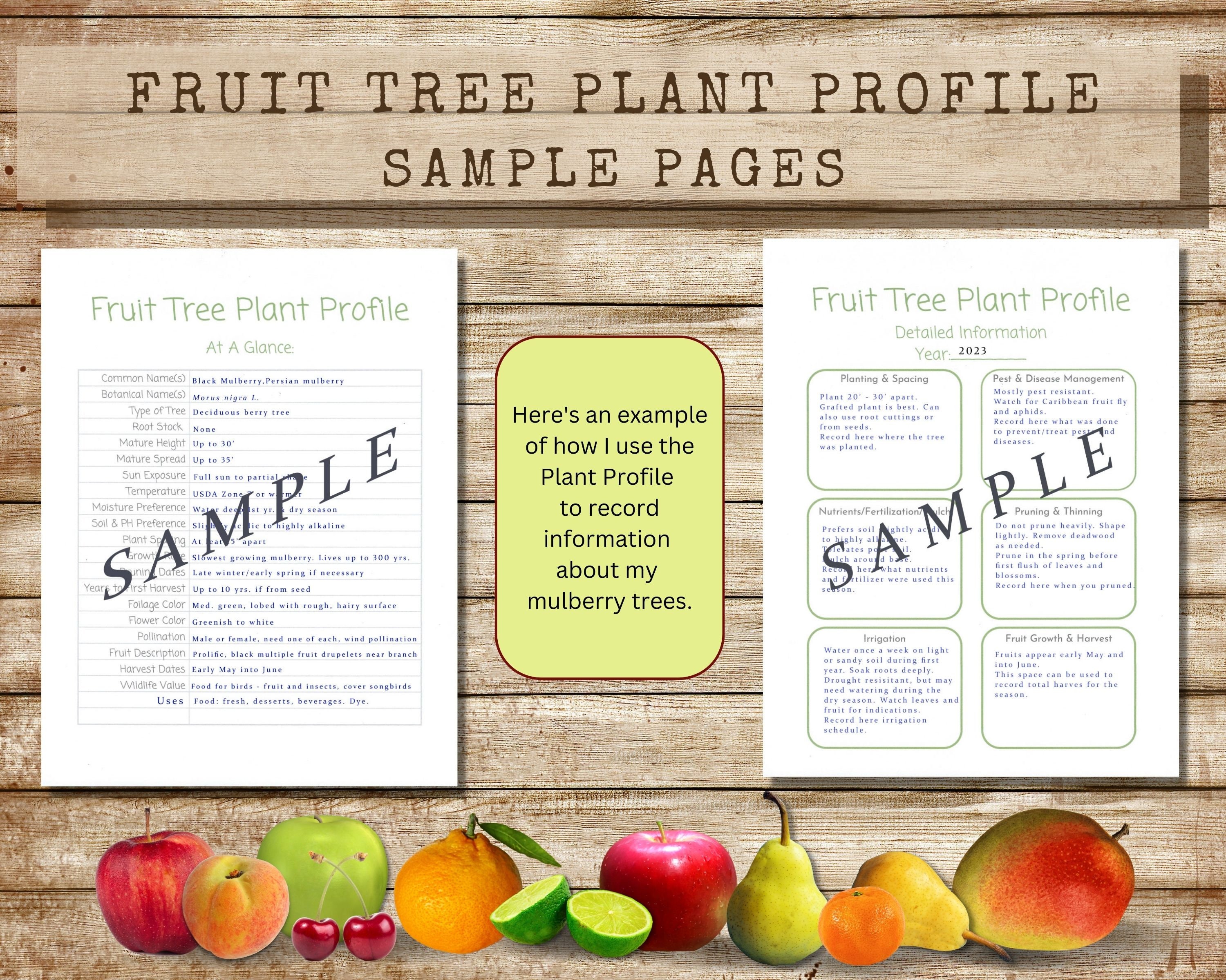 Printable Fruit Tree Plant Profile for Permaculture and Home Orchard ...