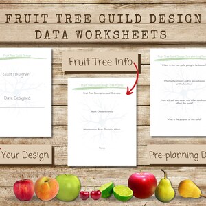 Printable Fruit Tree Guild Design Workbook, Permaculture Tree Guild ...