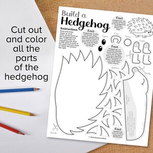 Build a Hedgehog Cut & Paste Craft, Autumn Animal Coloring Activity ...